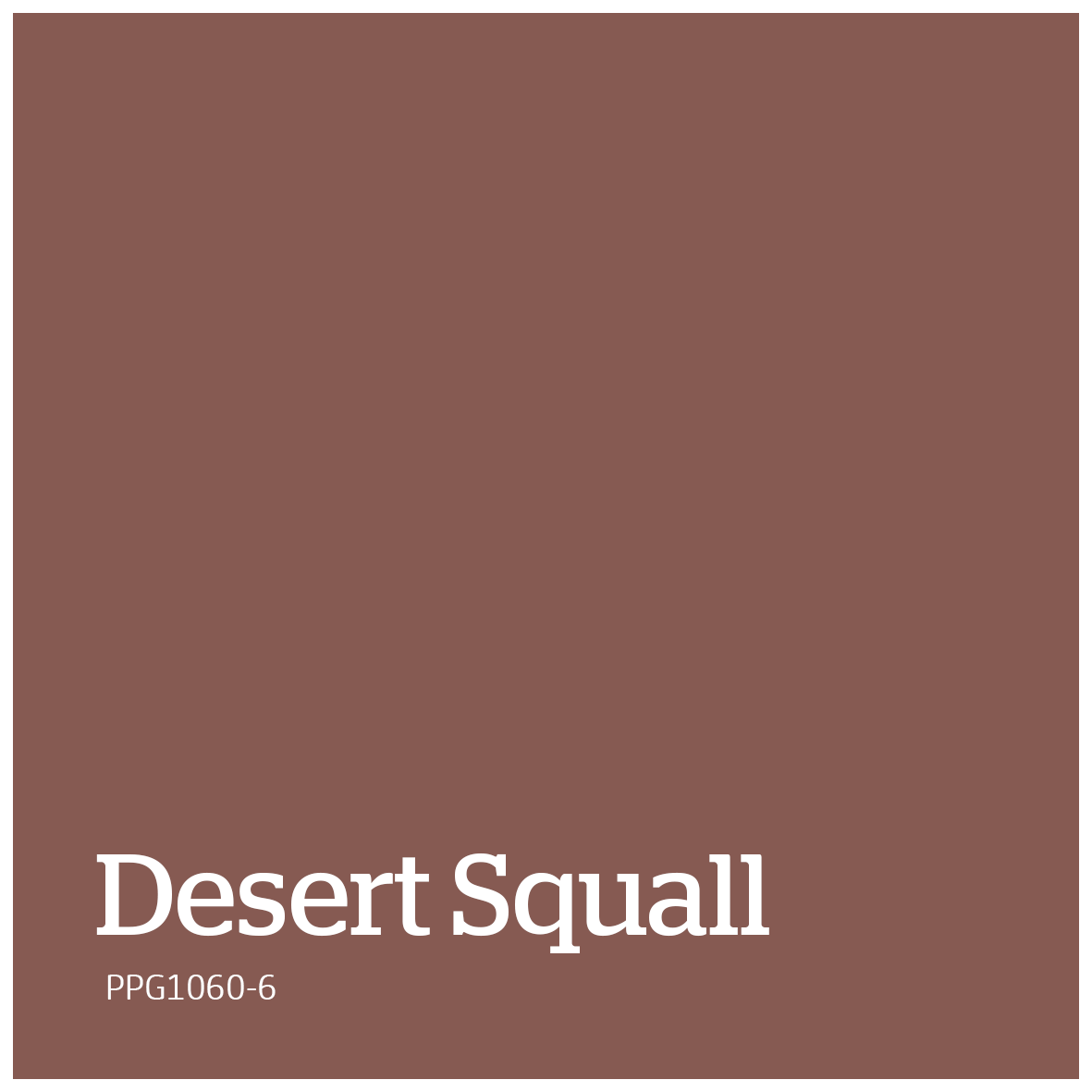 Desert Squall PPG1060-6 kleur laten mengen? Bestel online