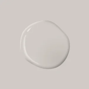 Shale Rock PPG1002-3 | Verf-plaza