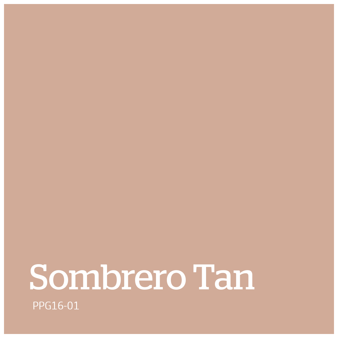 Sombrero Tan PPG16-01 kopen? Bestel deze kleur online