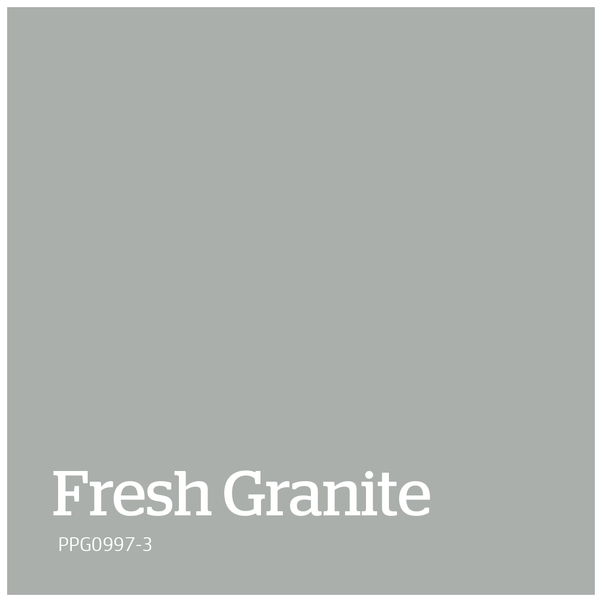 Kleur Fresh Granite PPG0997-3 kopen? Bestel online