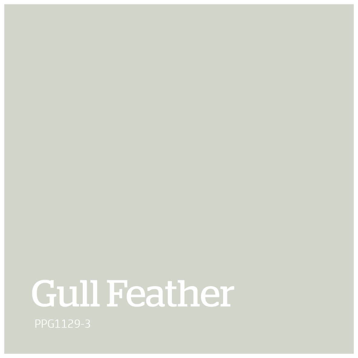 Kleur Gull Feather PPG1129-3 kopen? Verf-plaza