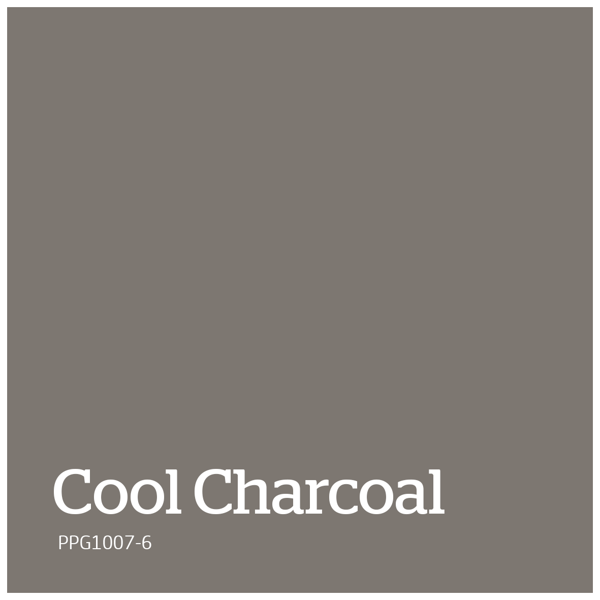 Cool Charcoal PPG1007-6 kopen? Verf-plaza