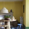Little Greene Indian Yellow 335