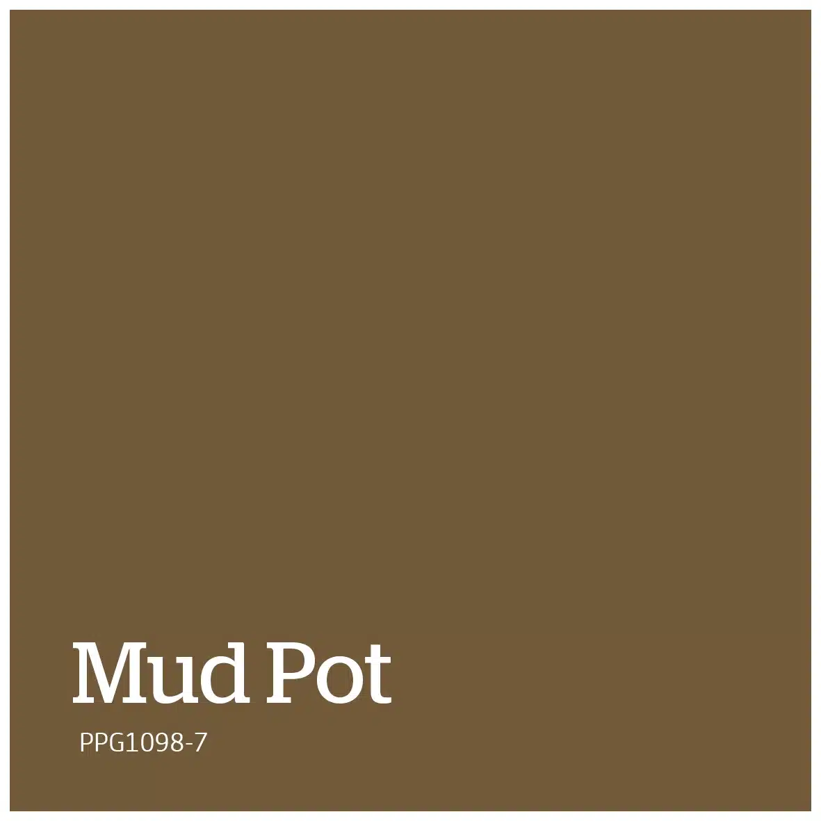 Mud Pot - PPG1098-7 kopen? Bestel online