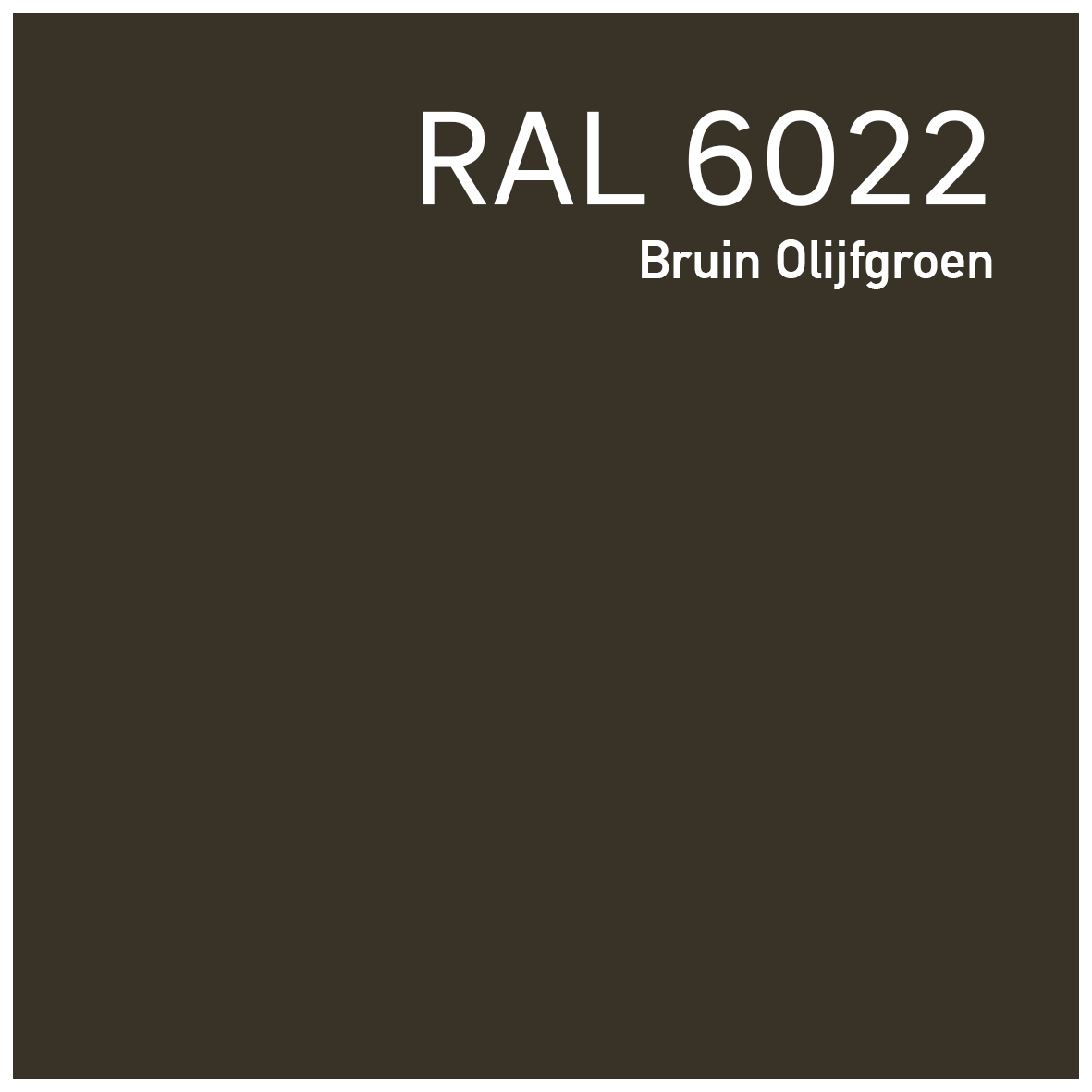RAL 6022 Bruin olijfgroen - Verfplaza
