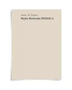 Maybe Mushroom - PPG1020-2 kopen? Bestel online