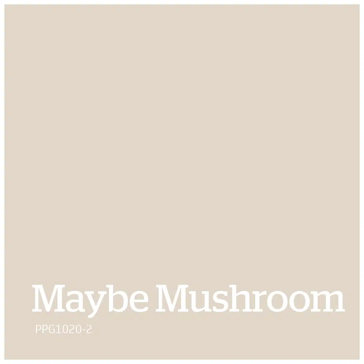 Maybe Mushroom - PPG1020-2 kopen? Bestel online