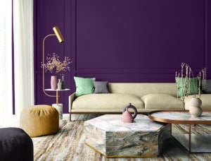 Amethyst Shadow - PPG1046-7 kopen? Verf-plaza