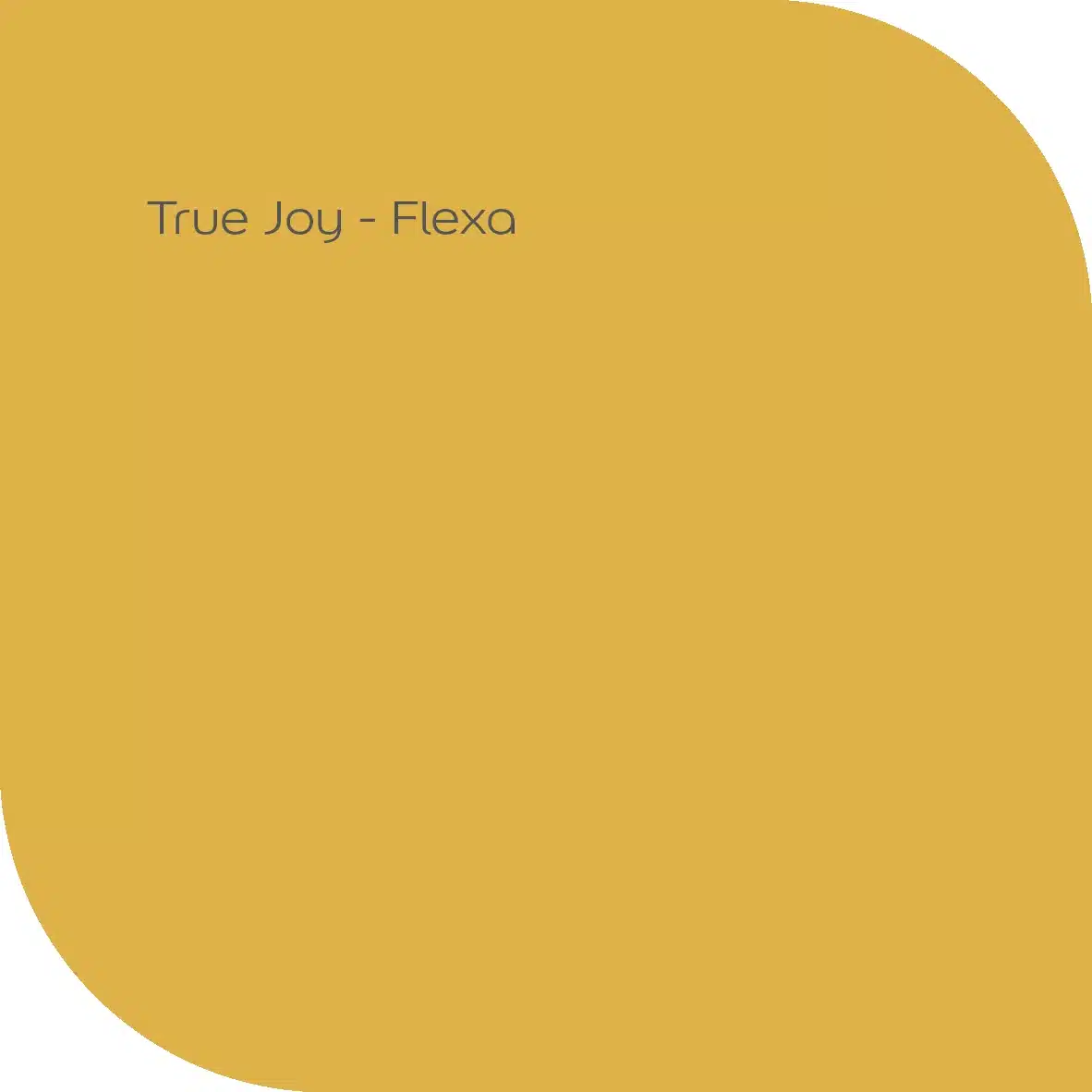 True Joy Flexa kleur van het jaar 2025 kopen? Verf-plaza