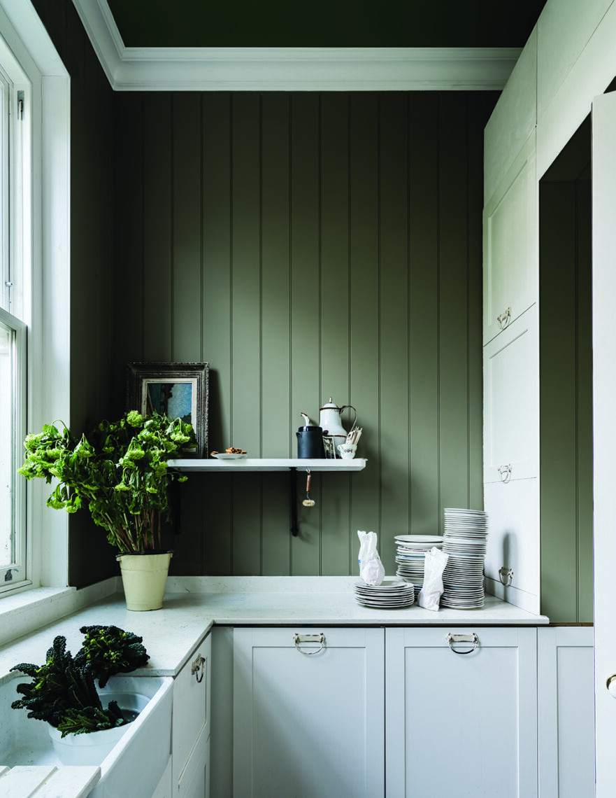 Farrow and Ball Treron No. 292